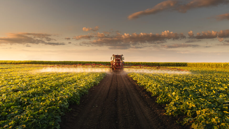 Products - Sojitz Solvadis